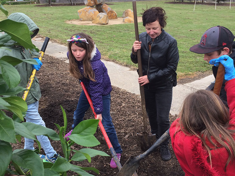 Children's Week Activities - Ballarat East Neighbourhood House